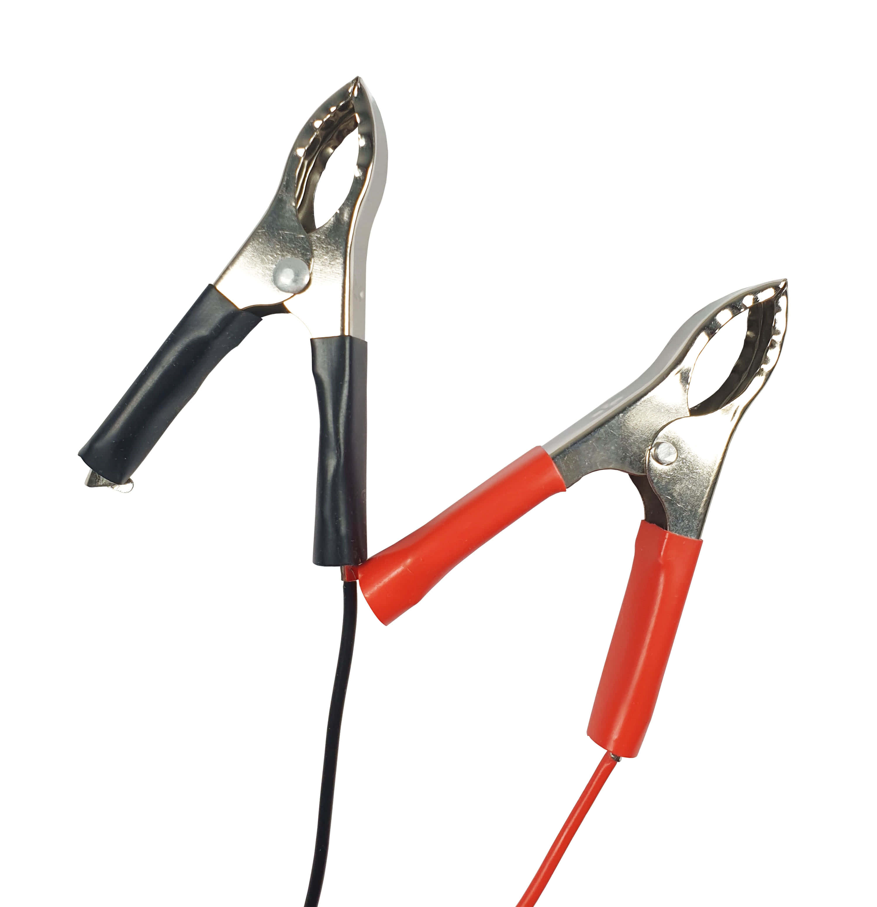 12V 4-Ampere Smart Battery Charger with Clips | Battery Trader